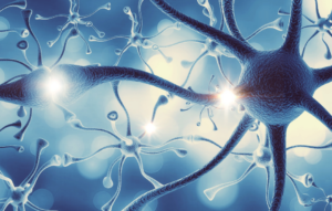 brain - Evergreen Psychotherapy Center