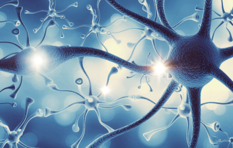 Trauma and the Brain - Evergreen Psychotherapy Center